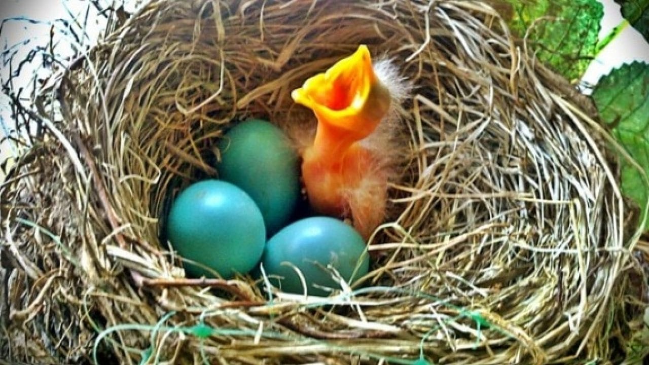 A Guide for Reflecting on the Past Year - Thirty Thousand Days