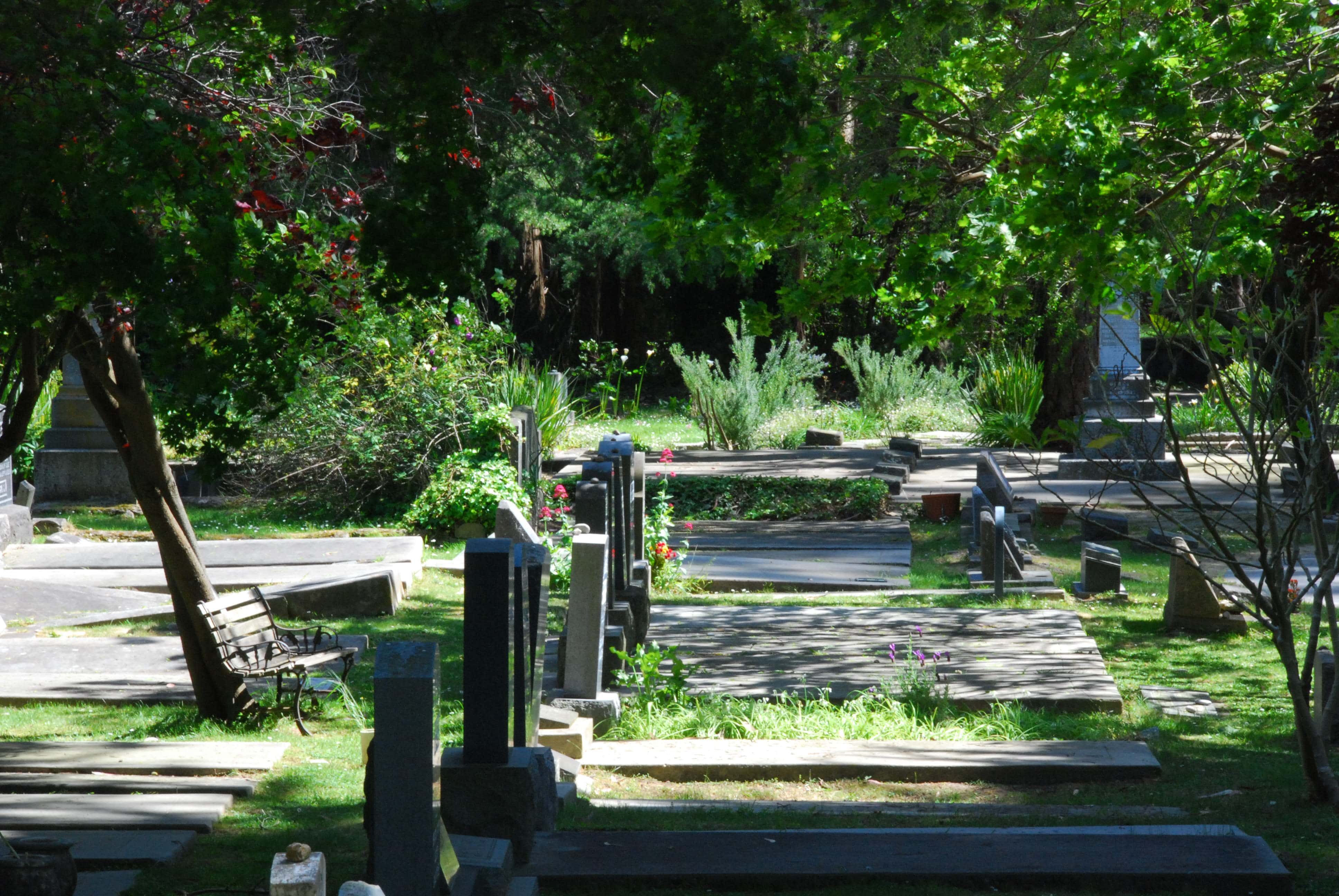 LIFE AFTER DEATH: TOOLS FOR COPING WITH GRIEF - Thirty Thousand Days