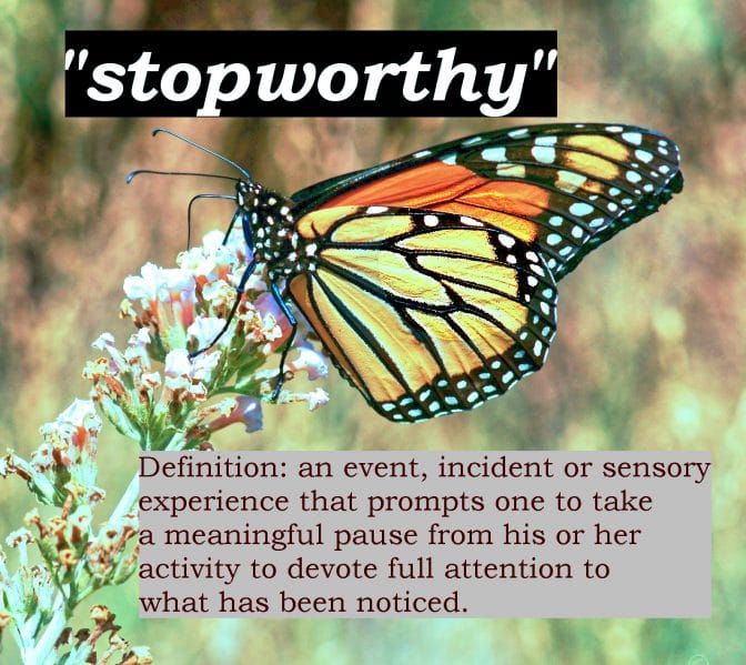 Managing Disappointment - Thirty Thousand Days